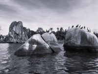 Workstreams – WWQA