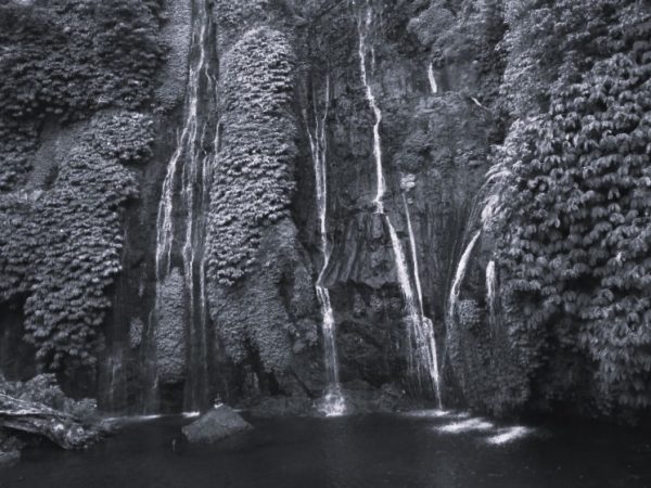 Workstreams – WWQA