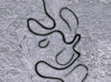 Workstreams – WWQA