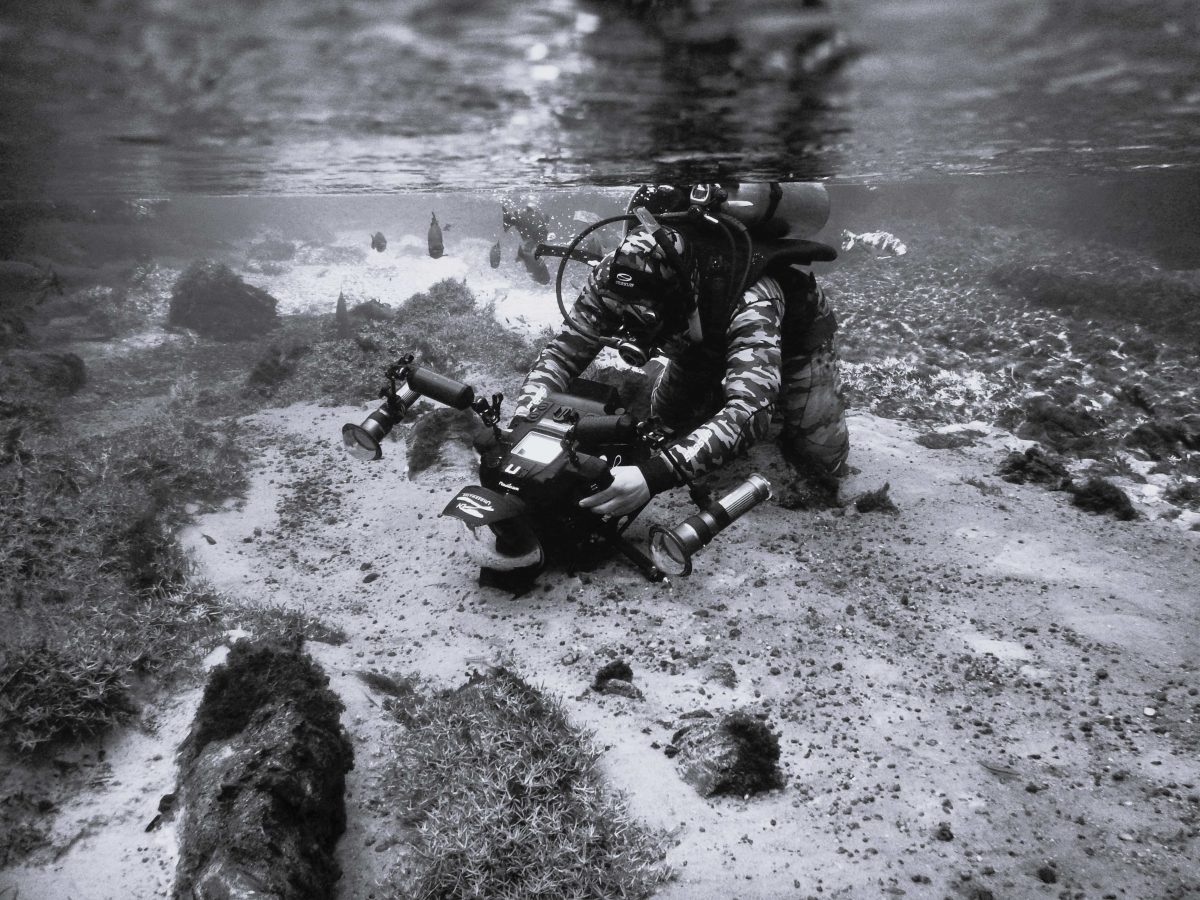 Workstreams – WWQA