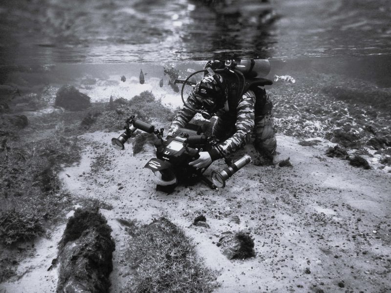 Workstreams – WWQA